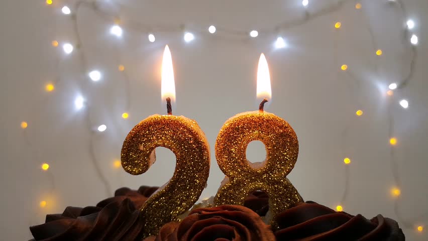 This is Only The Beginning: It's my 28th Birthday - Chelsea Nicole
