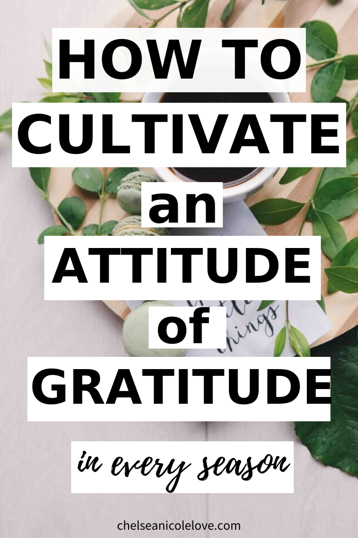 How To Cultivate An Attitude of Gratitude? (In All Seasons) - Faith